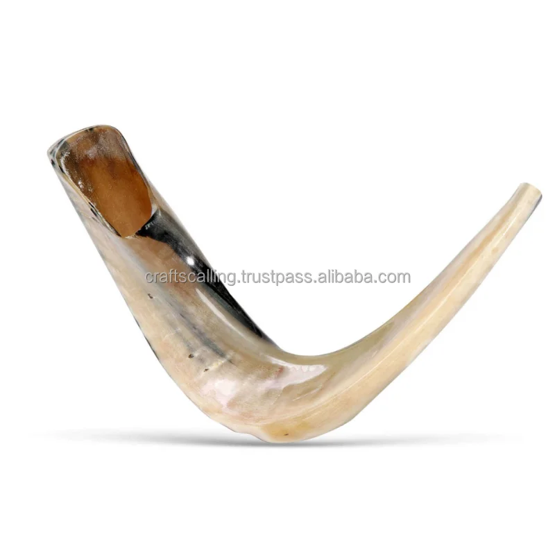 Wholesale Rams Horn Shofar Polished Handmade From India By Crafts ...