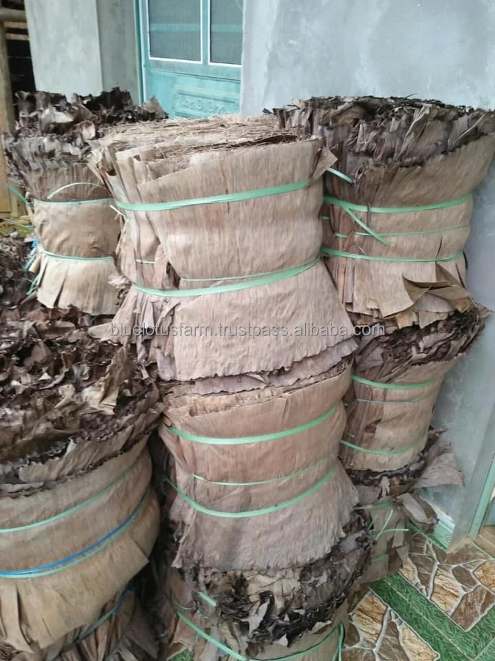 Dried Banana Leaves Leaf From Vietnam Wholesale Agriculture Product ...