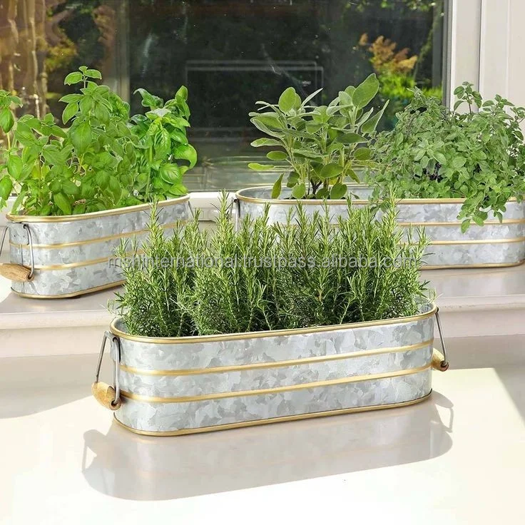 Metal Bucket Garden Planters Outdoor Flower Pot Galvanized Metal Flower ...