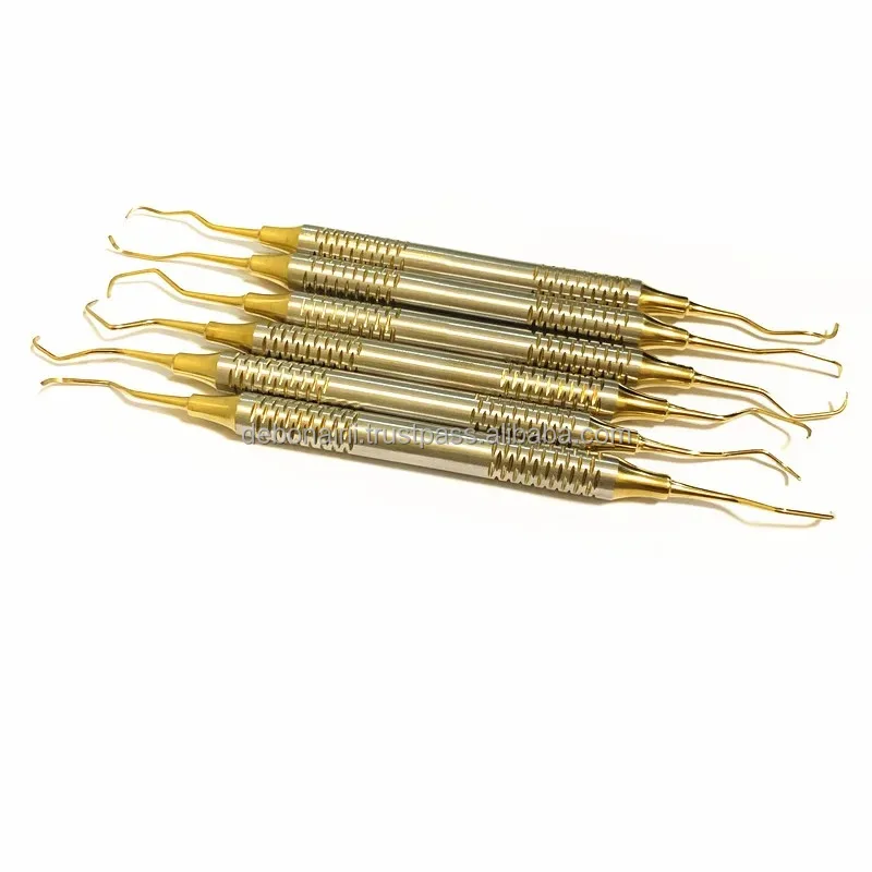 Dental Tooth Cleaning Scaler Set Steel - 6Pcs Gracey Curette ...