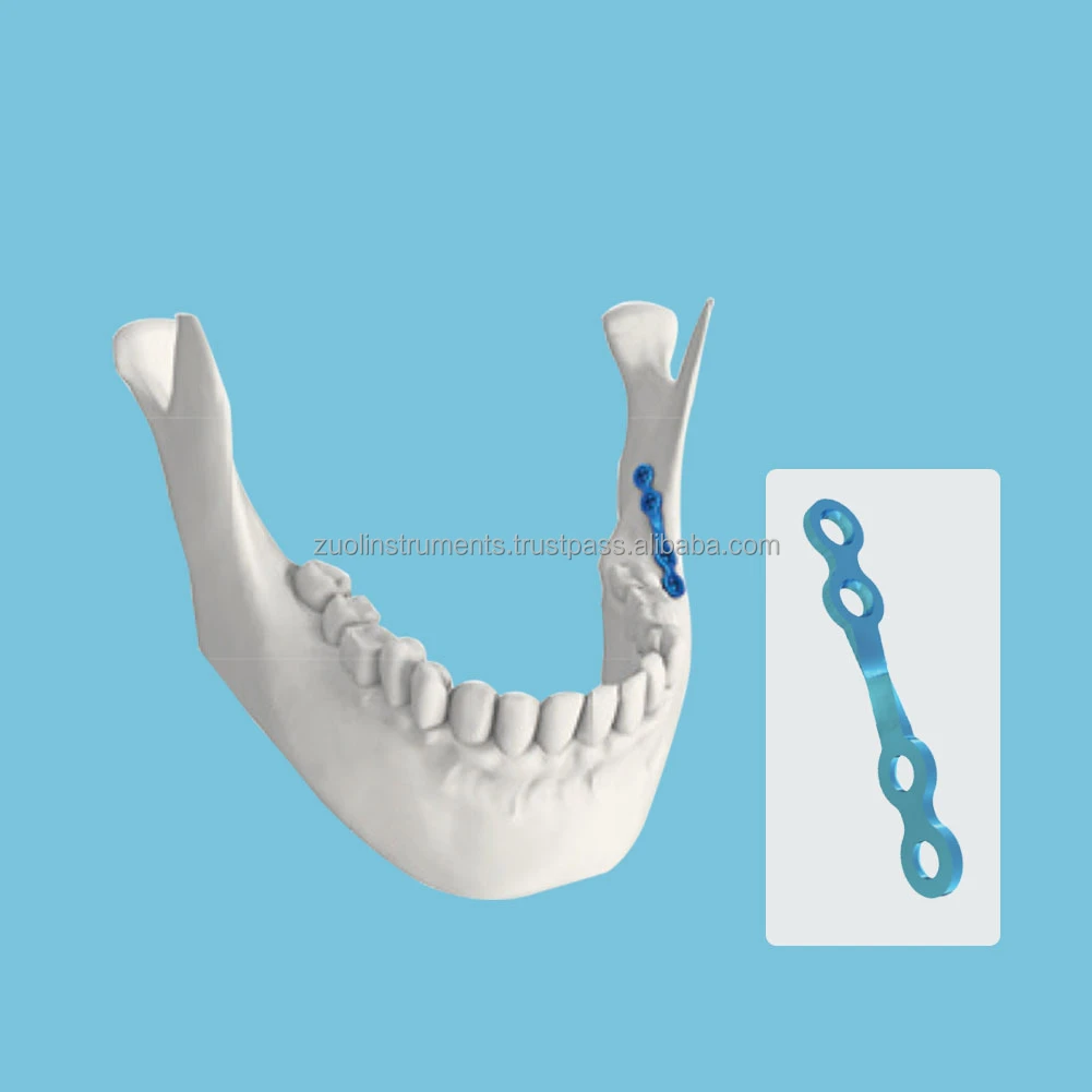 Anatomical 2d Round Hole Metal Maxillofacial Plate Neurosurgery Cranial ...