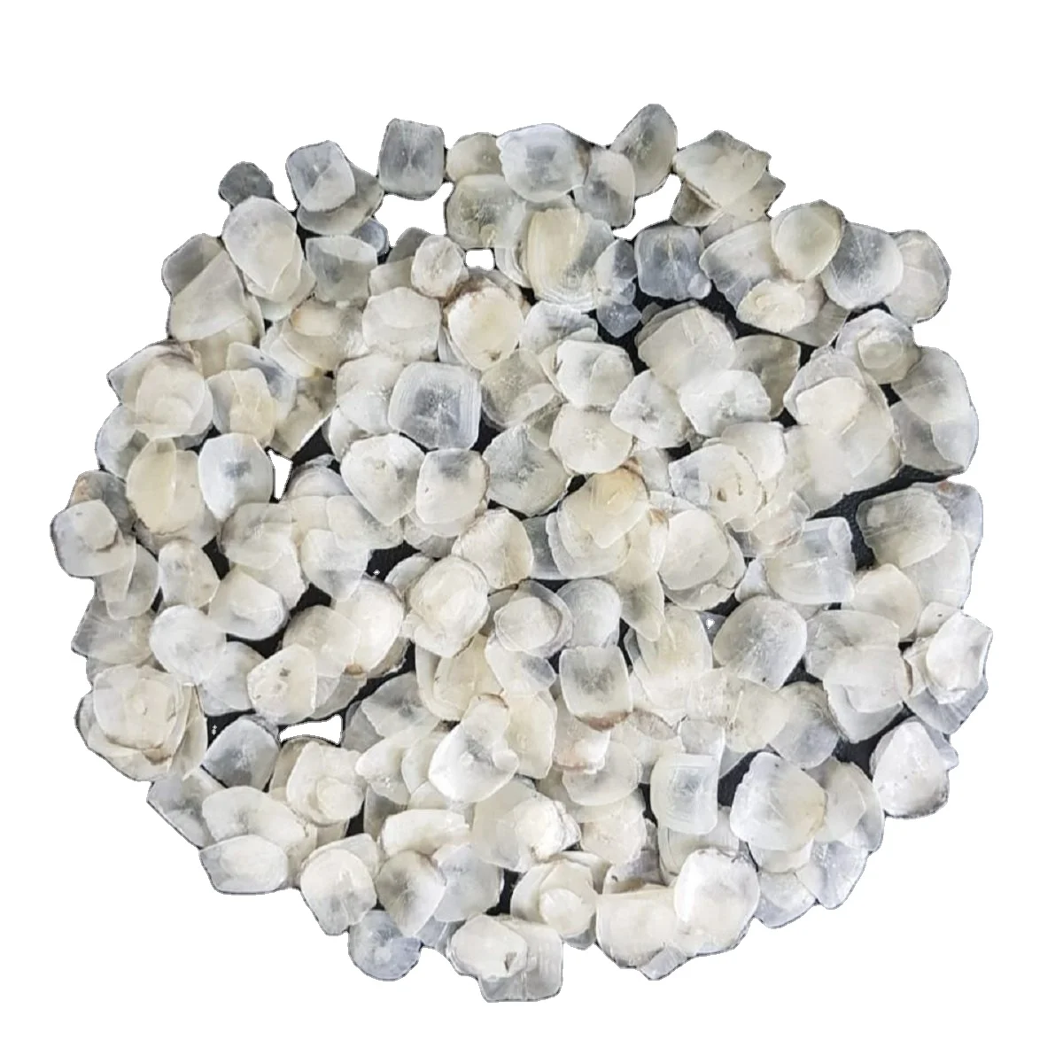 Hot Sale 2024 Dried Tilapia Fish Scale For Extract Skin Remove Fish ...