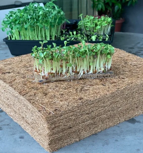 Growing Media Coir Grow Pads - Sri Lanka Manufacture & Export - Natural ...