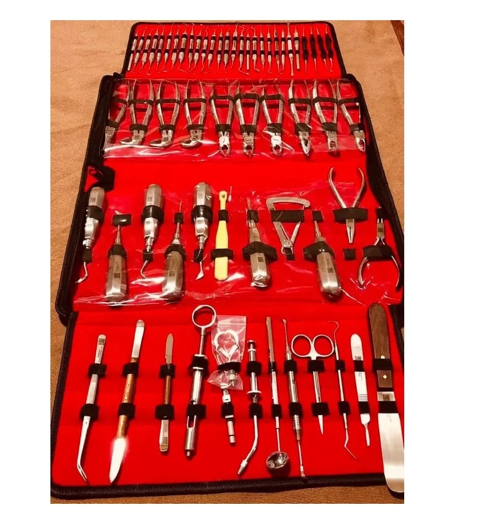 Oral Dental Surgery Extracting Elevators Forceps Stainless Steel ...