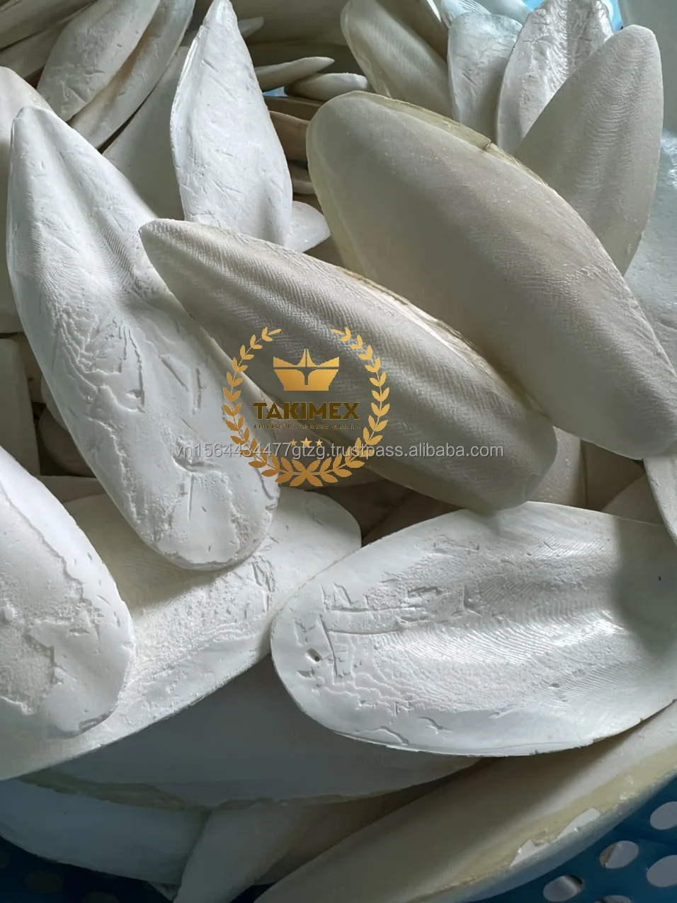 DRIED CUTTLEFISH BONE - CUTTLE BONE - CUTTLEBONE BLISTER - SQUID BONE ...