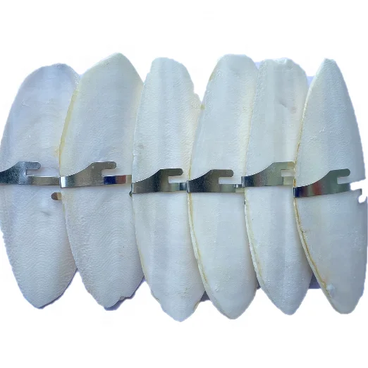 Hot Deal 2023 - Dried Cuttlebone/dried Cuttlefish Bone Blister Pack Or ...