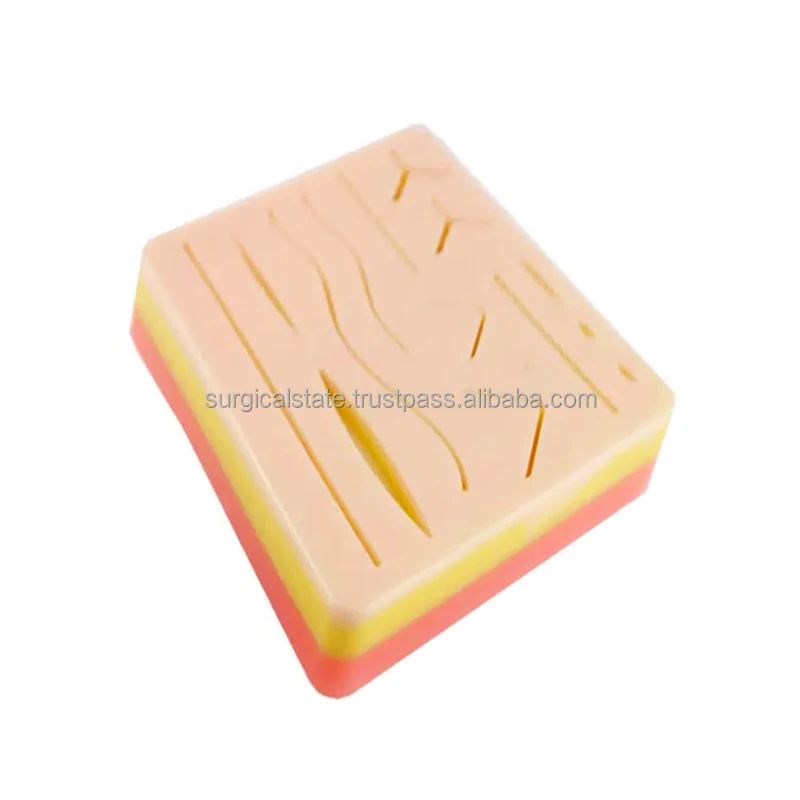 Suture Practice Kit Complete With Dissection Kit Tools Suture Training ...