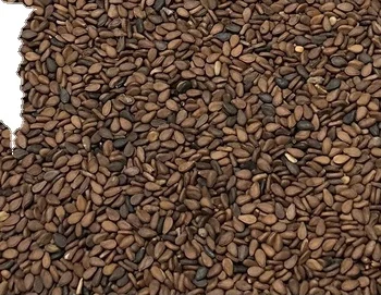 Natural Brown Sesame Seed - Buy Bangladesh Sesame oil Crushing Sesame ...