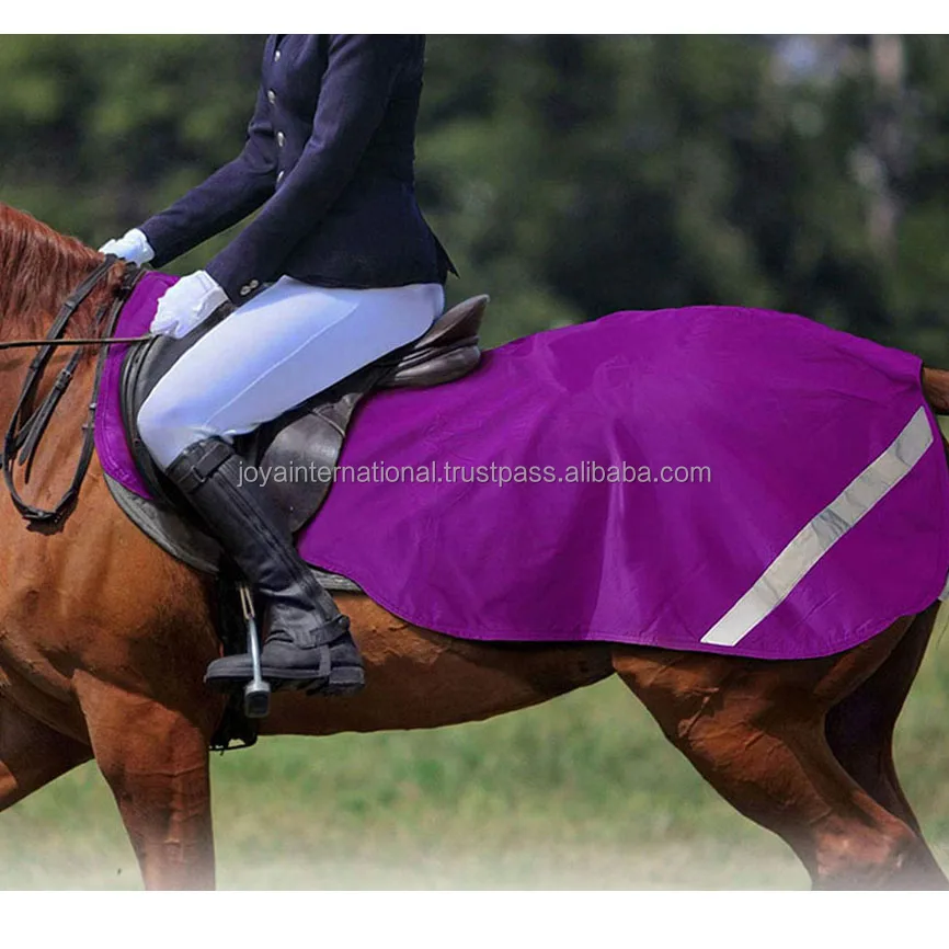Seasonal Turnout Horse Exercise Sheet Blanket Ripstop 600-1680 Denier ... Seasonal Turnout Horse Exercise Sheet Blanket Ripstop 600-1680 Denier ...