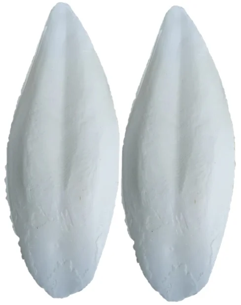 Cuttlebone with Metal Clips Treat for Birds/reptile White Color Clean ...