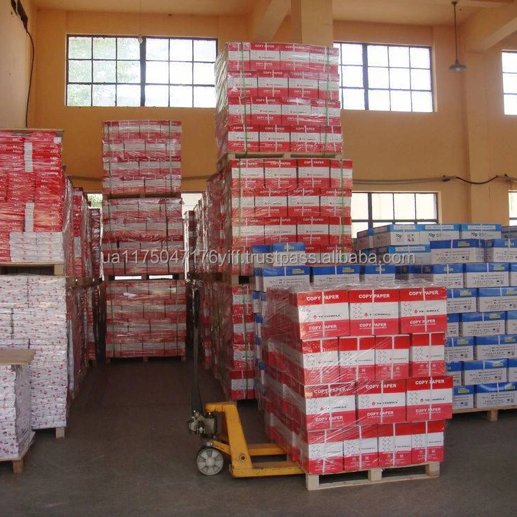 A4 Paper - Premium Copy Paper from Typek, Germany/belgium