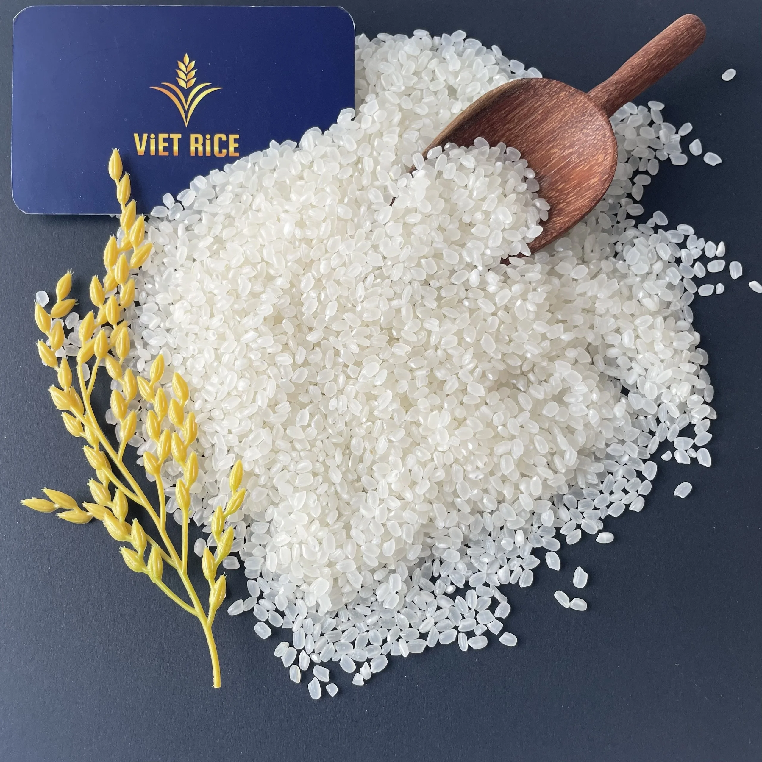 Vietnamese Rice - Japonica Rice - Round Grain White Rice 5% Broken From ...