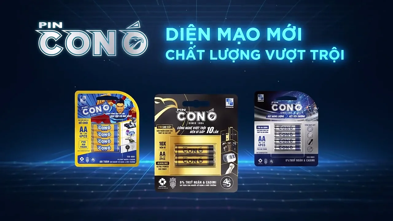 N100l (12v 100ah) Dry Charged Batteries Cost-effective Energy Solution ...