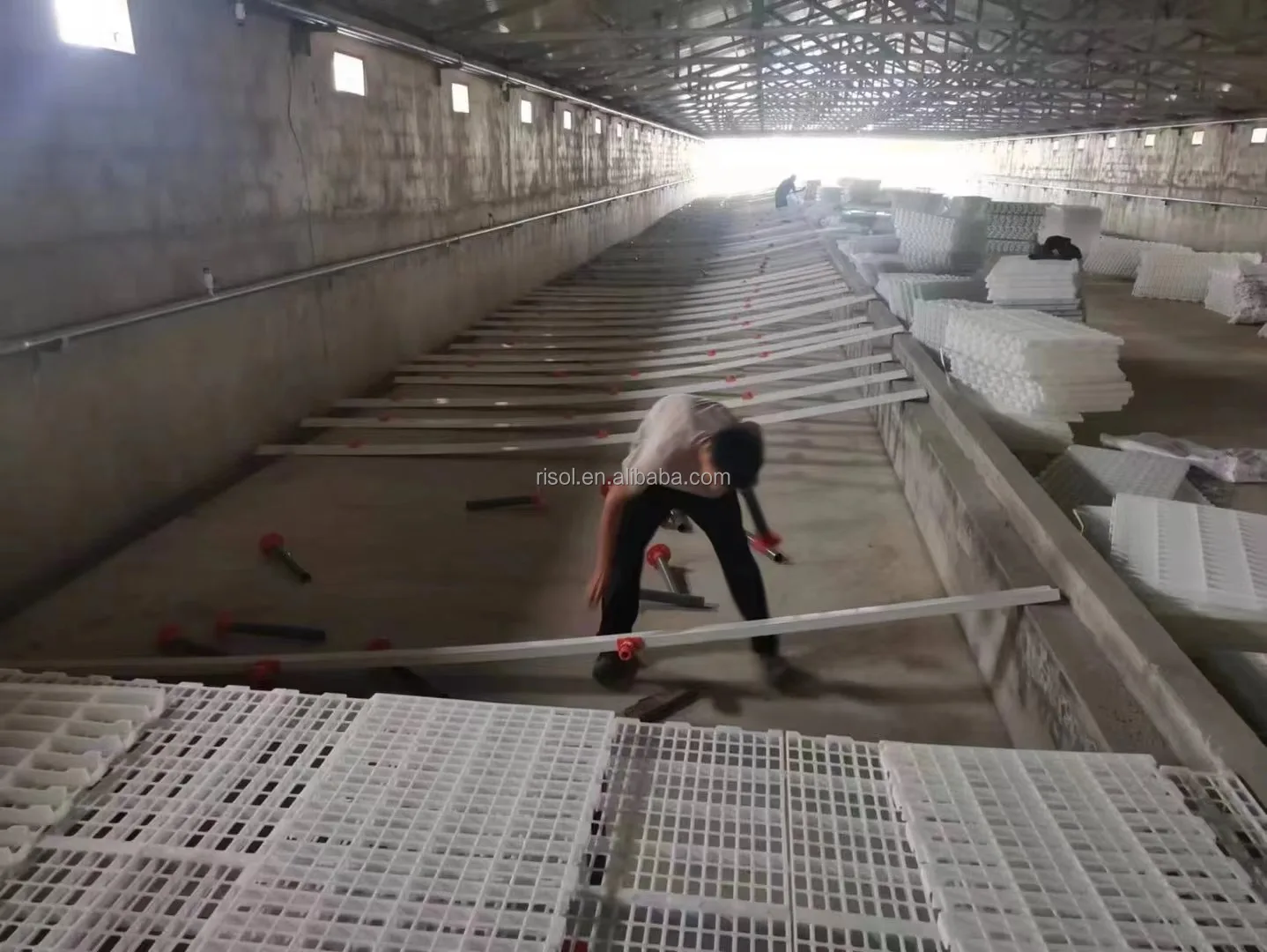 Broiler Farm Plastic Slatted Dung Leaking Board Poultry Slat Floor for ...