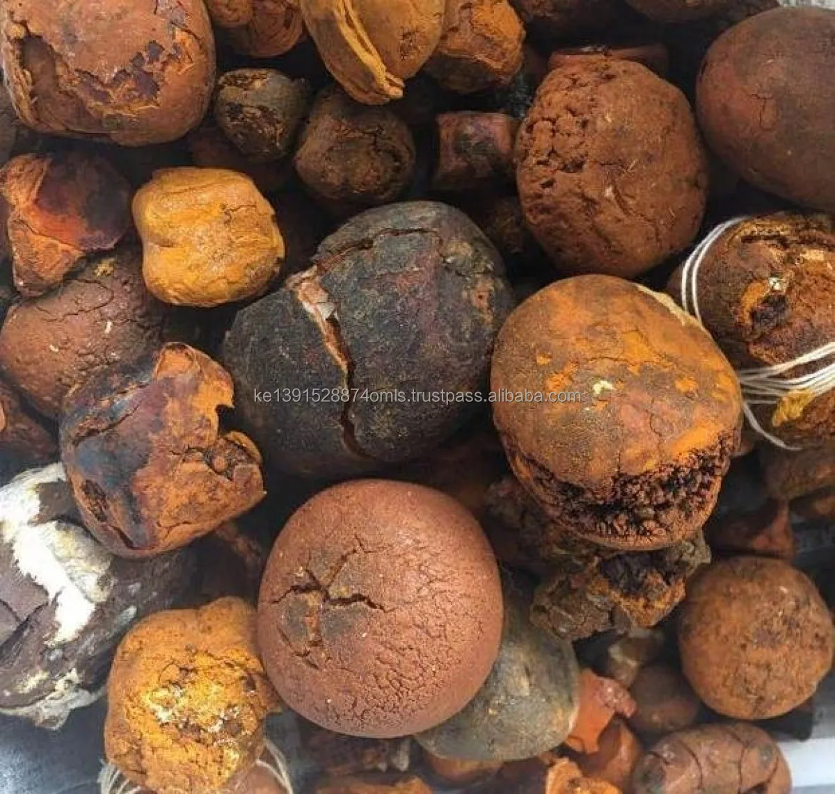 100 % Whole Ox Cattle Gallstone / Cow Gallstone / Natural Bezoar ...