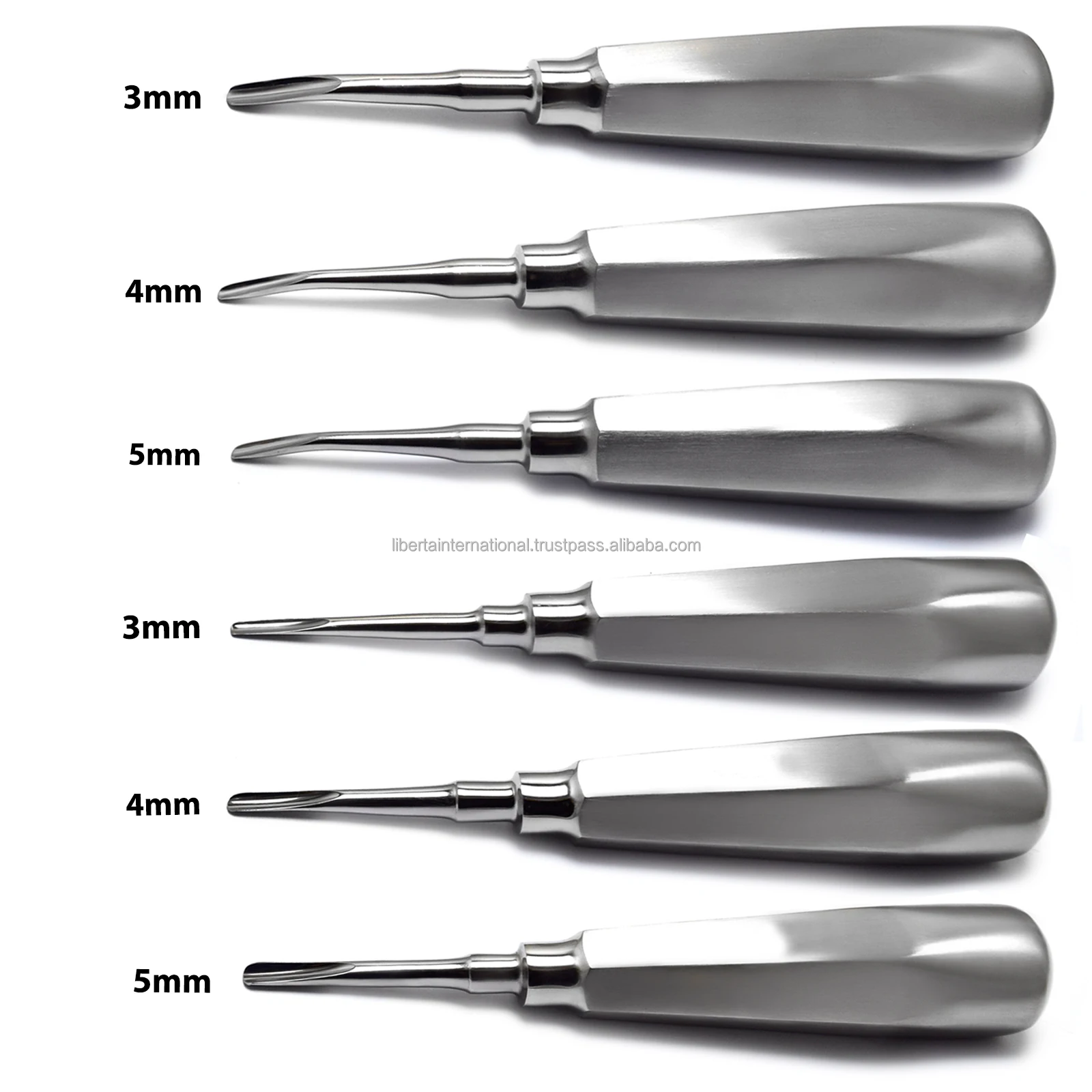 Durable Manual Dental Surgical Instruments - Luxation Elevators