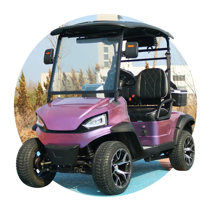New Design Electric Golf Cart With 2 Seats Hunting Off-road Golf Cart ...