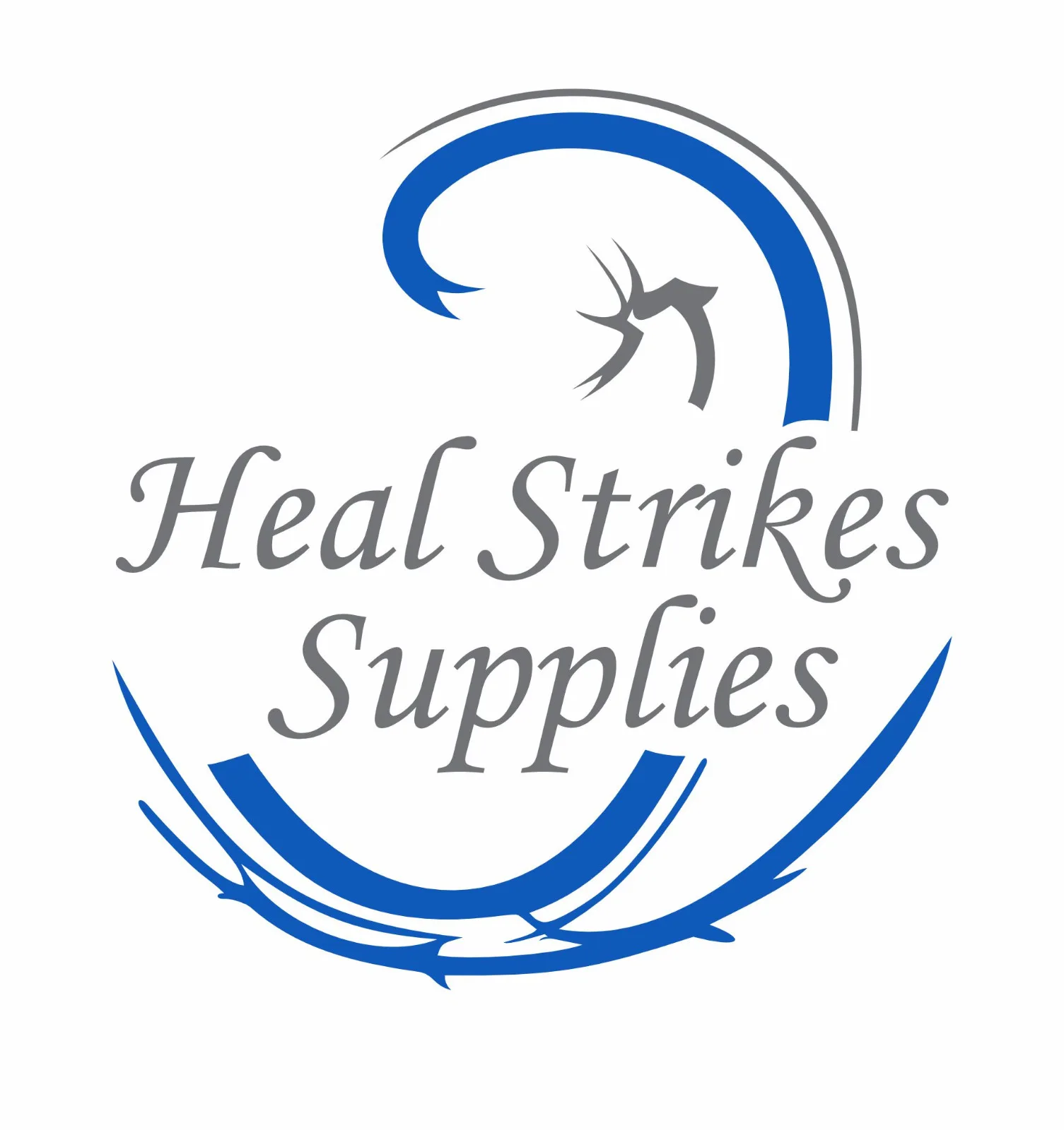 Company Overview - HEAL STRIKE SUPPLIES