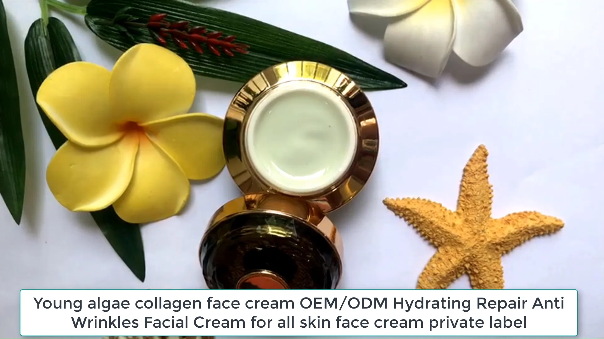 Marine Algae Collagen Face Cream Oem/odm Hydrating Repair Skin Peptide ...