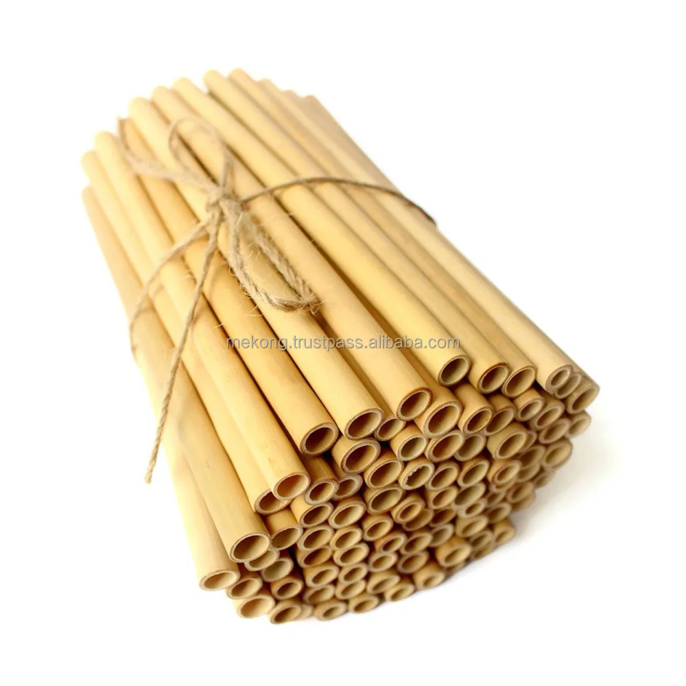 All-season Minimalist Contemporary Premium Disposable Straws Eco ...