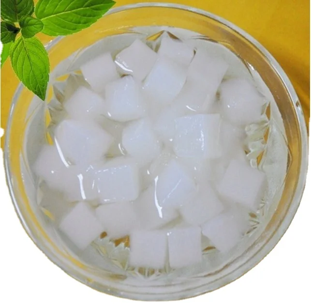Nata de Coco Compress Natural Delicious - Dried Compressed Nata De Coco ...