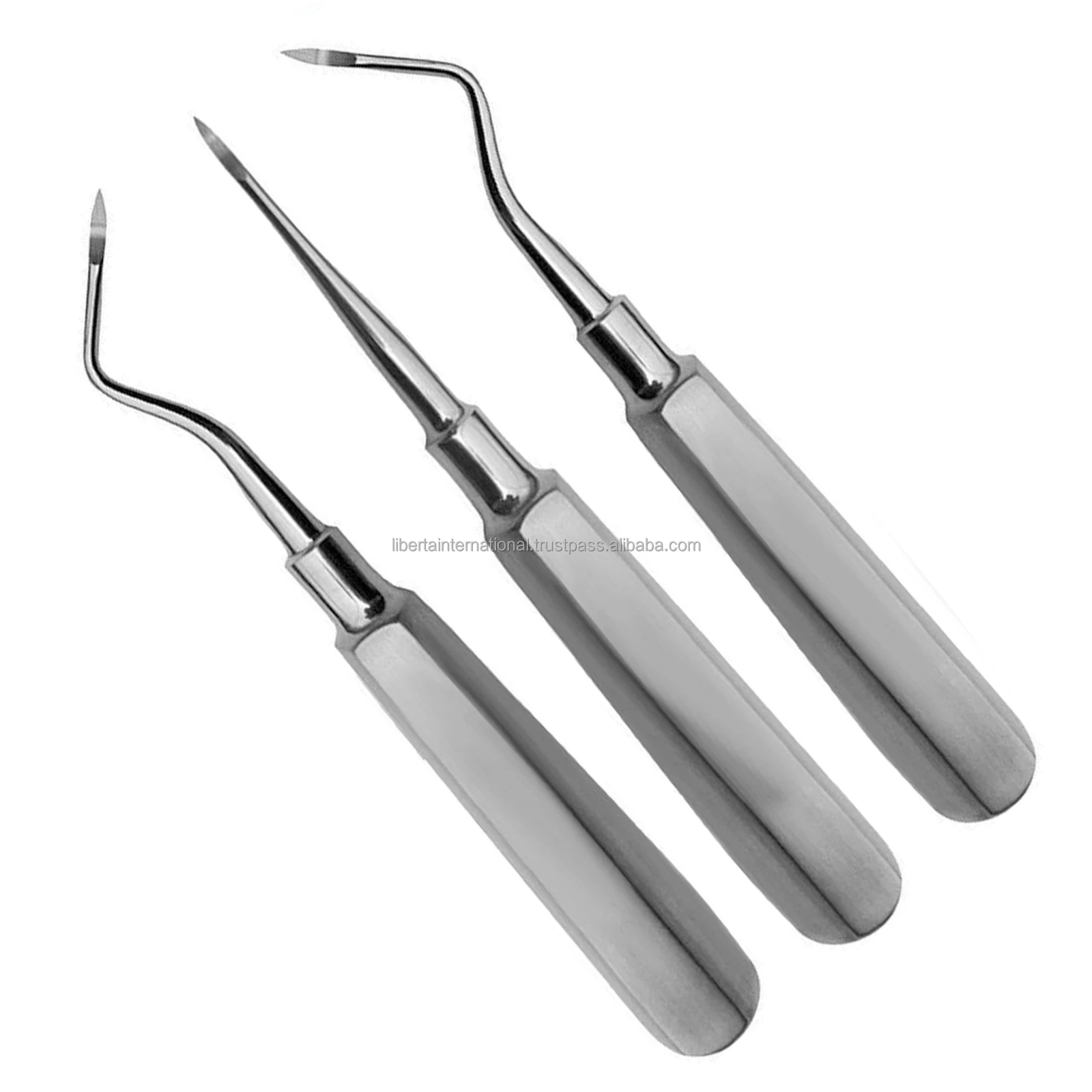 Dental Tooth Extraction Instruments - Professional Root Elevators