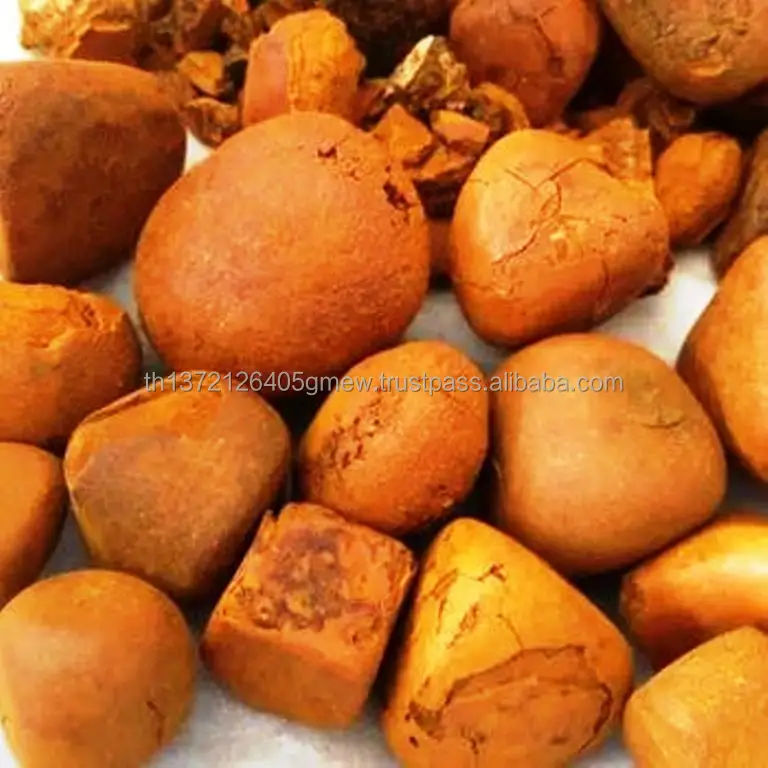 Ox/cow Bladder Gallstones 100% Whole Stones Available - Buy Quality ...