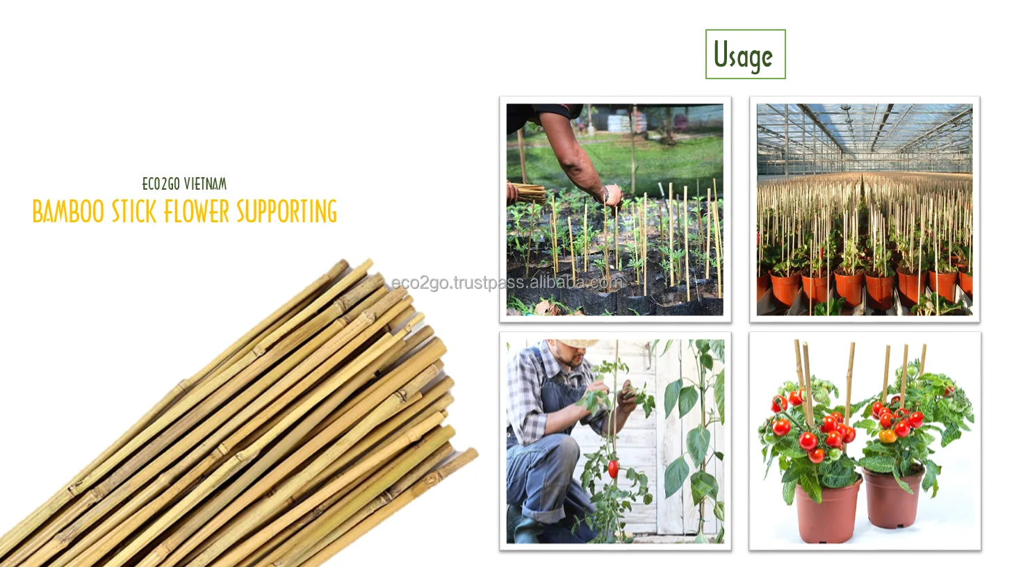 Natural Bamboo Poles Cane Strips Slats Stakes High Quality Eco2go ...