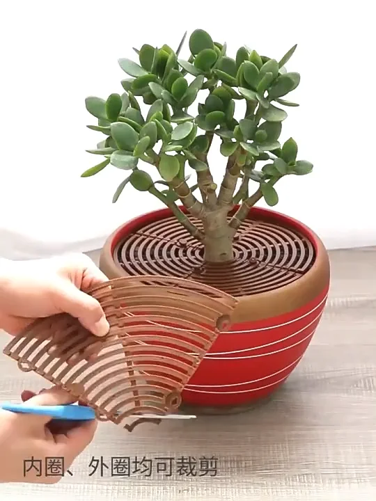 Plant Pot Grid Flower Pot Cover Root Plant Protection Cover Plant ...