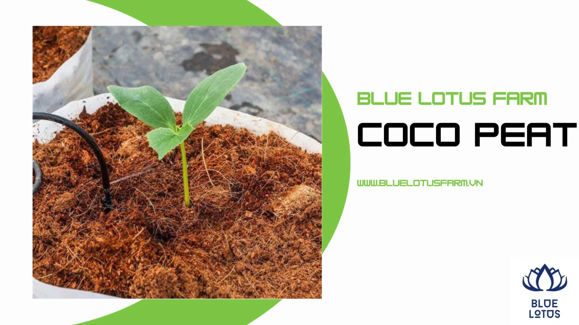 Peat Moss Coconut Coir Pellets Seed Starting Plugs Pallet Seedling Soil ...