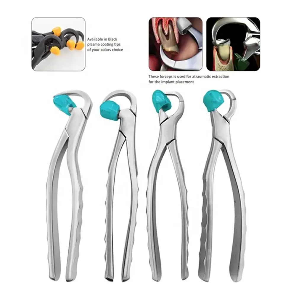 Suddle Instruments Iso Certified High Quality Dental Physics Tooth ...