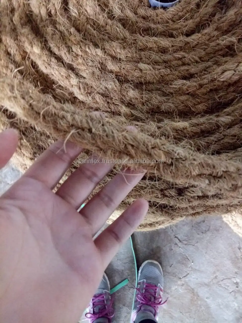 Coconut Coir Rope From Vietnam for Gardening / Coconut Fiber Rope for ...