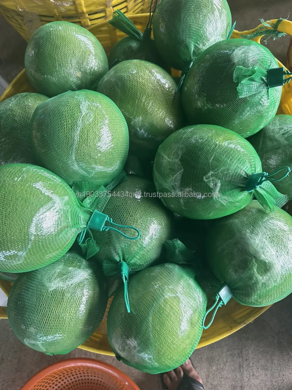 Vietnam Fresh Grape Fruit/ Pomelo Ready to Export Wholesale in 12kg ...