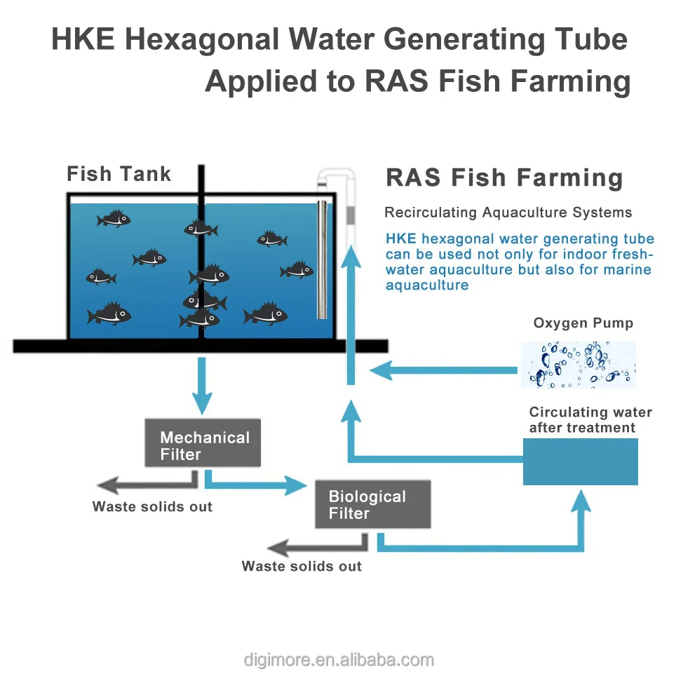 Taiwan Made Stainless Steel Hexagonal Water Equipment For Ras ...