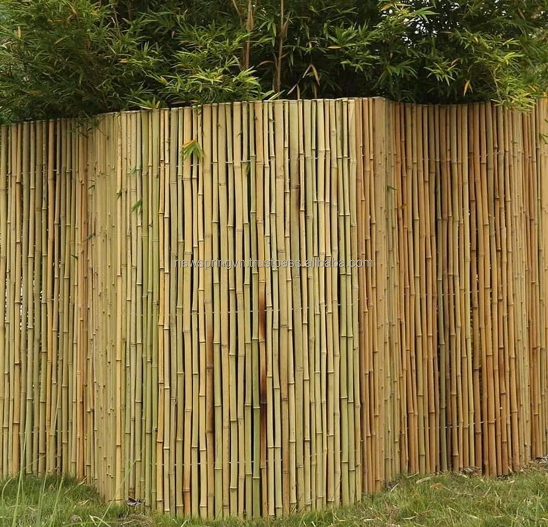 Bamboo Cane Bambu Stick for Plant Support Rods & Fencing