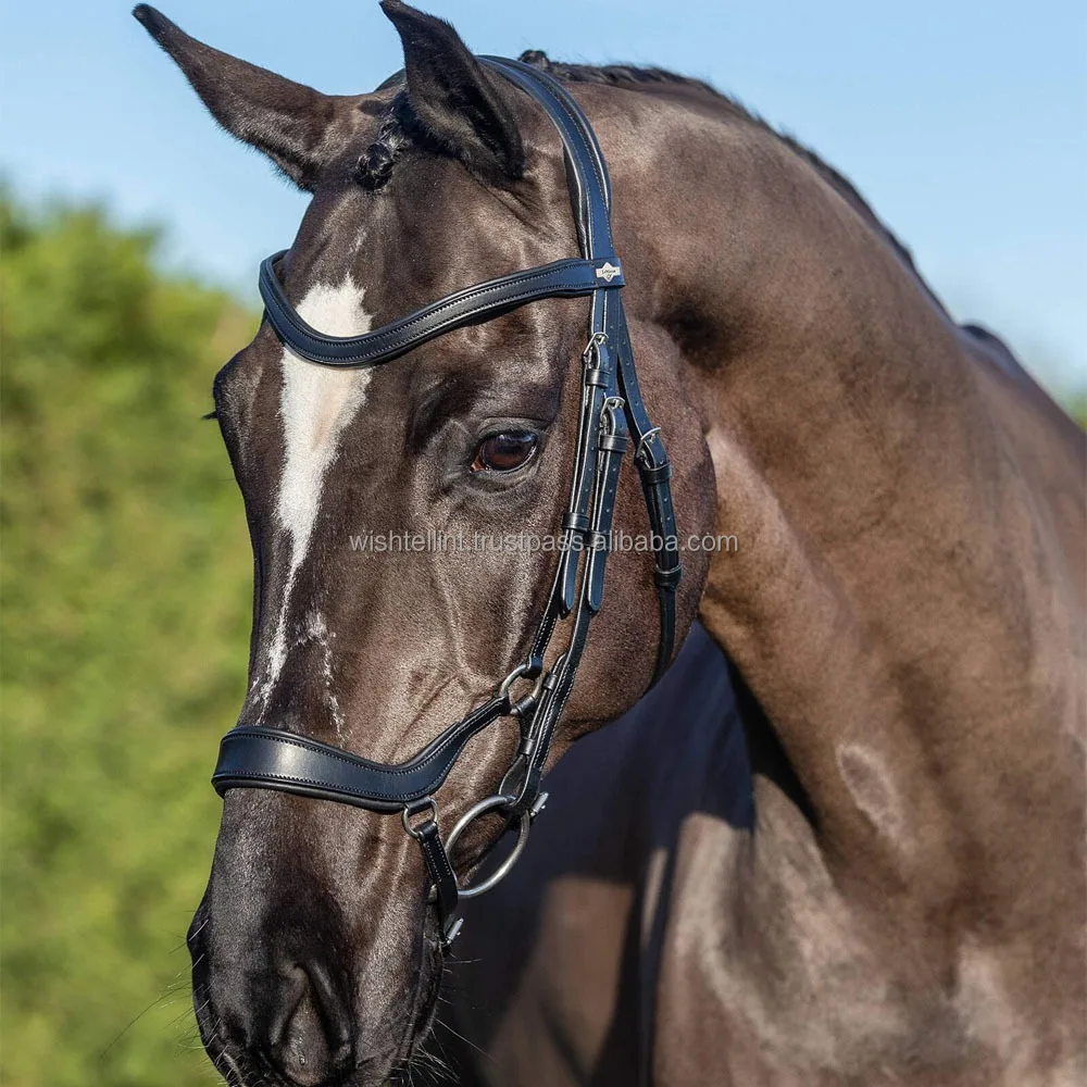 Wholesale Horse Riding Bridle Adjustable High Density Thickened Webbing ...