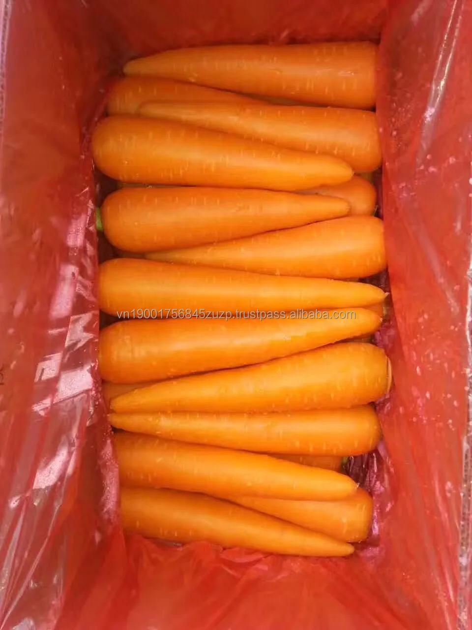 Iqf Frozen Carrot/ Carrot Cut/ Carrot Dice From Vietnam Best Factory ...