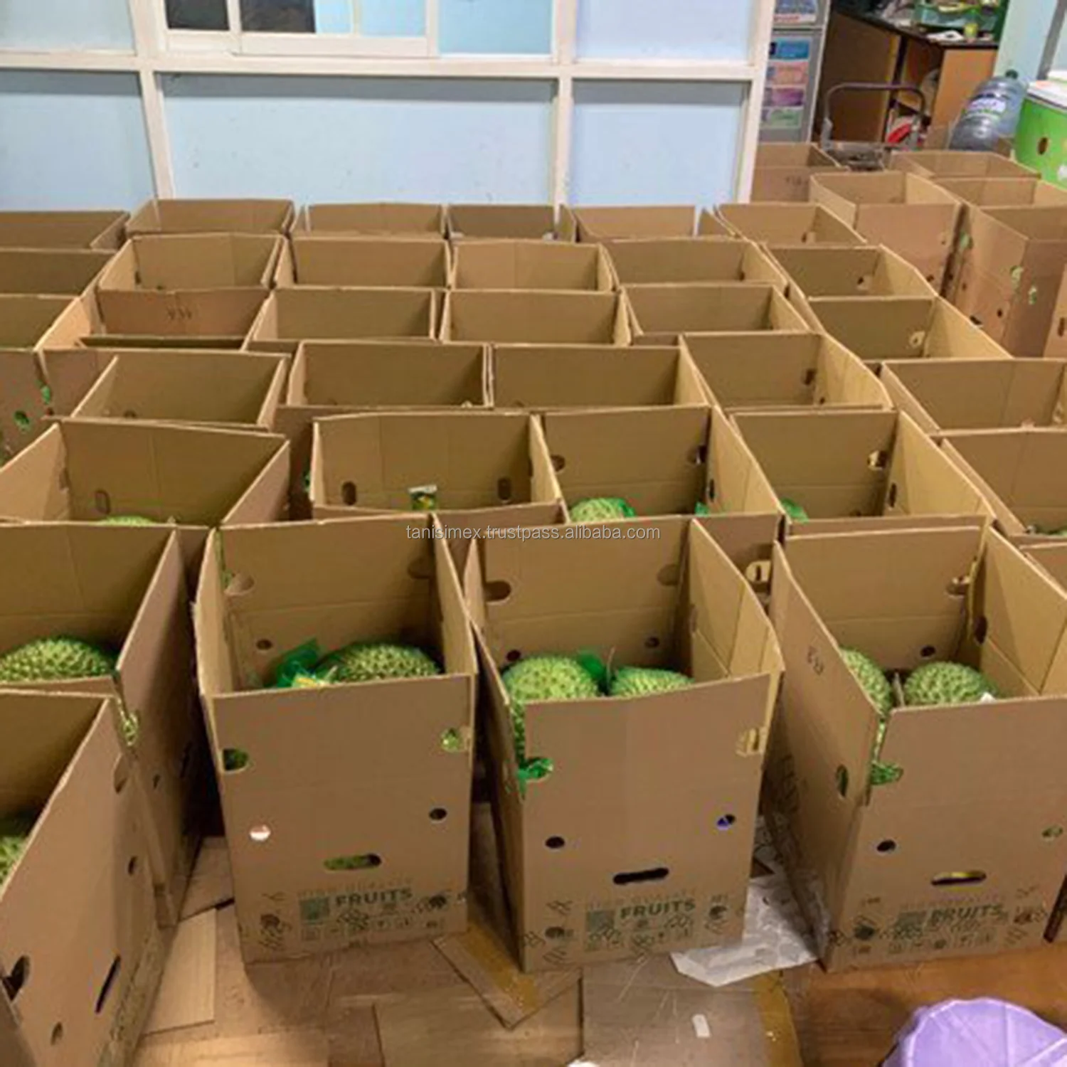 Ri6 And Monthong Fresh Durians Fruit Export From Vietnam With Yellow ...