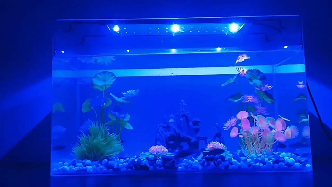 Saltwater Marine Reef Planted Fish Tank Led Aquarium Background Lights ...