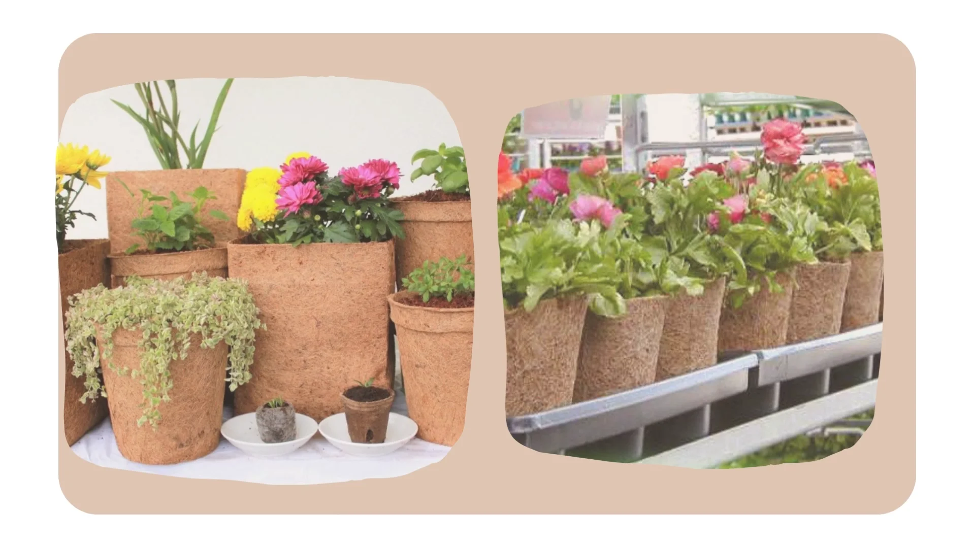 100% Biodegradable And Natural Coconut Coir Fiber Pot/ Coconut Fiber ...