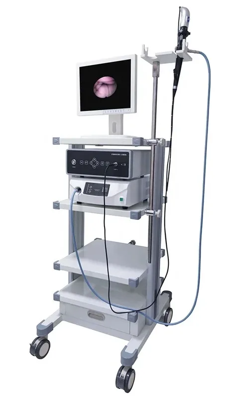 Veterinary Percutaneous Endoscopic Gastrostomy Kits/medical Ent ...