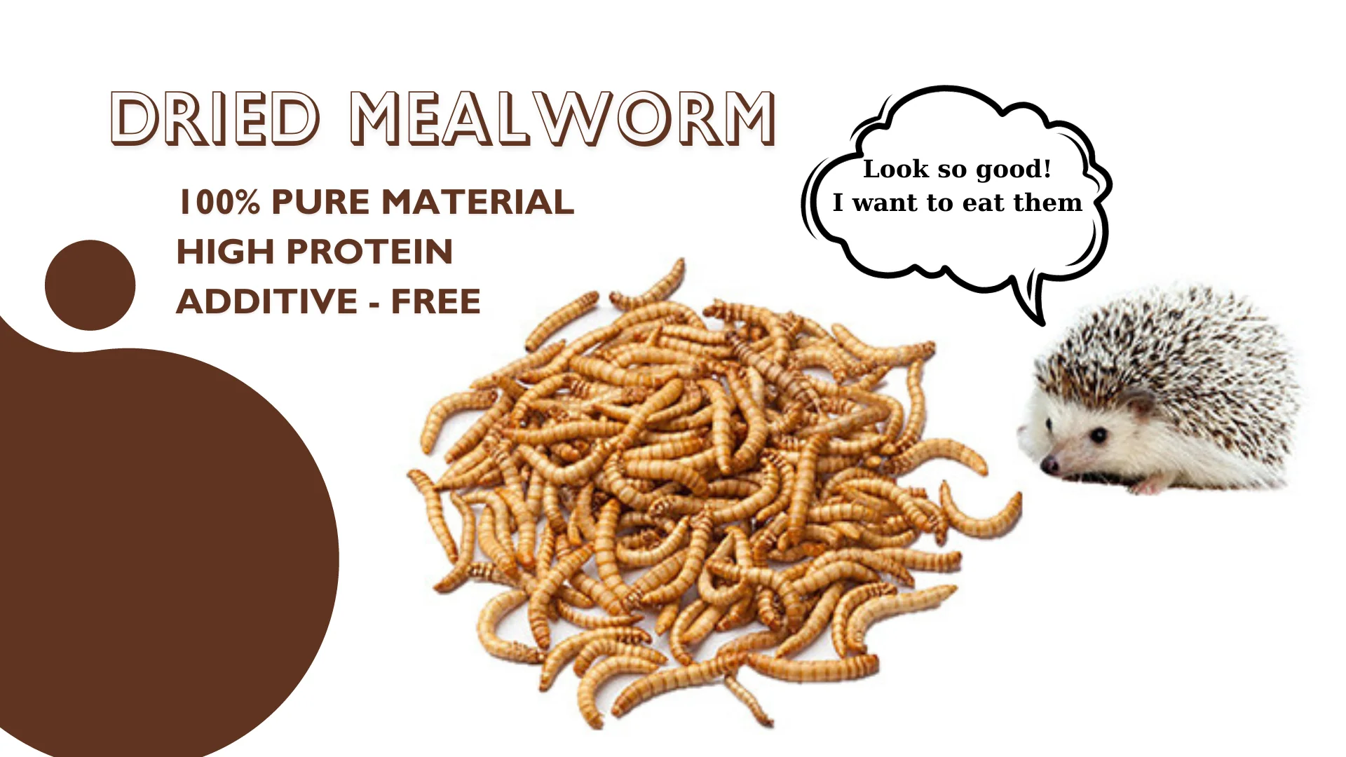Premium Dried Black Soldier Fly Larvae: Wholesome And Sustainable ...