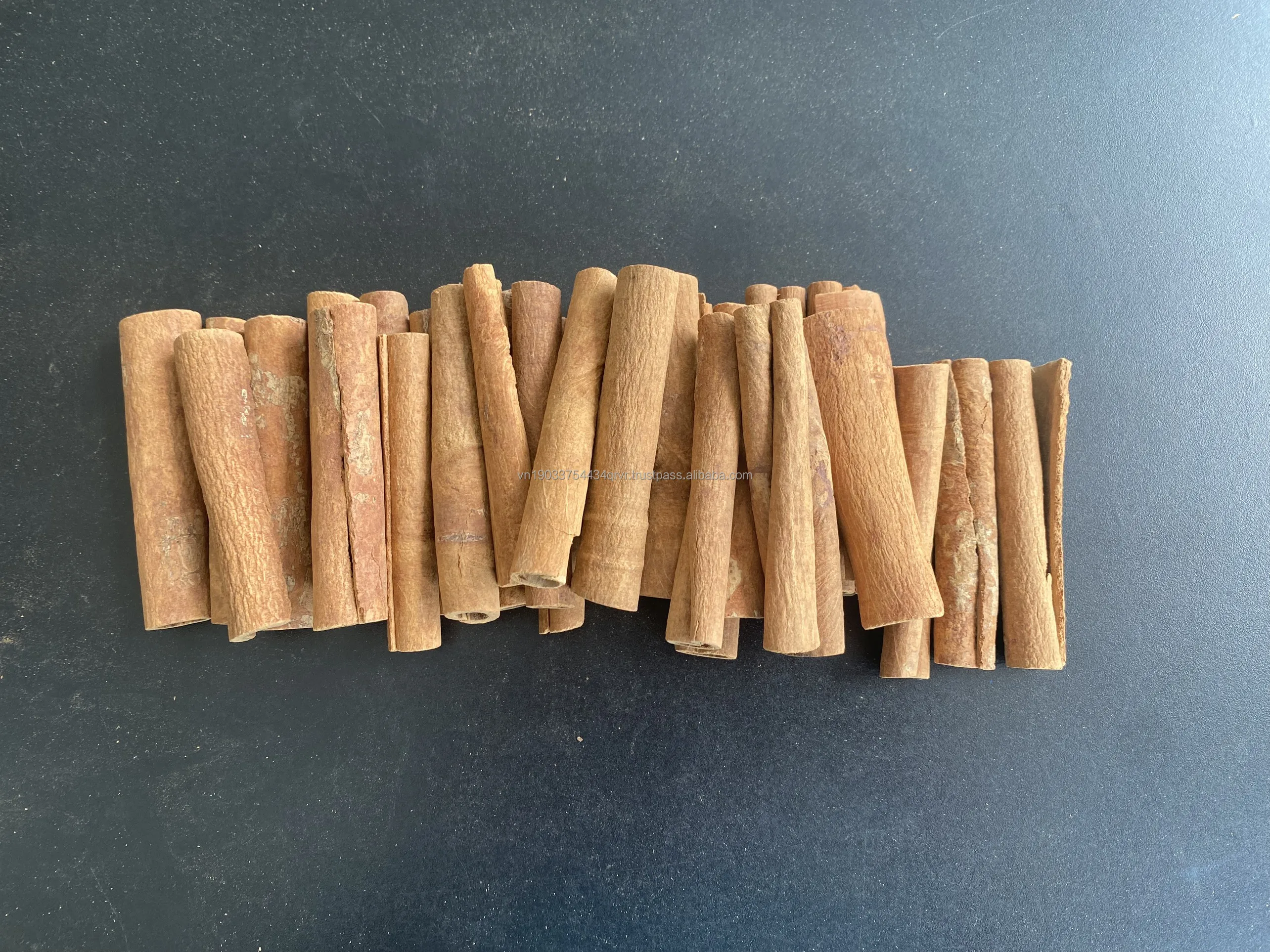 Wholesale Hot Spicy Cigarette Cassia Cinnamon from Vietnam