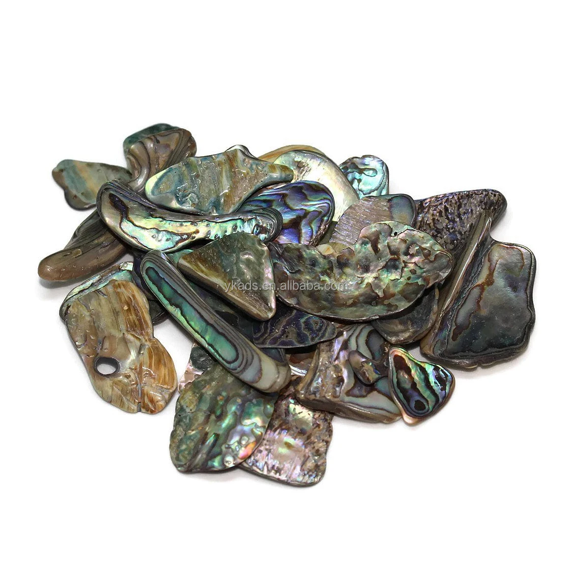 Fresh Organic Abalone Shell in Environmental Friendly Feature| Alibaba.com