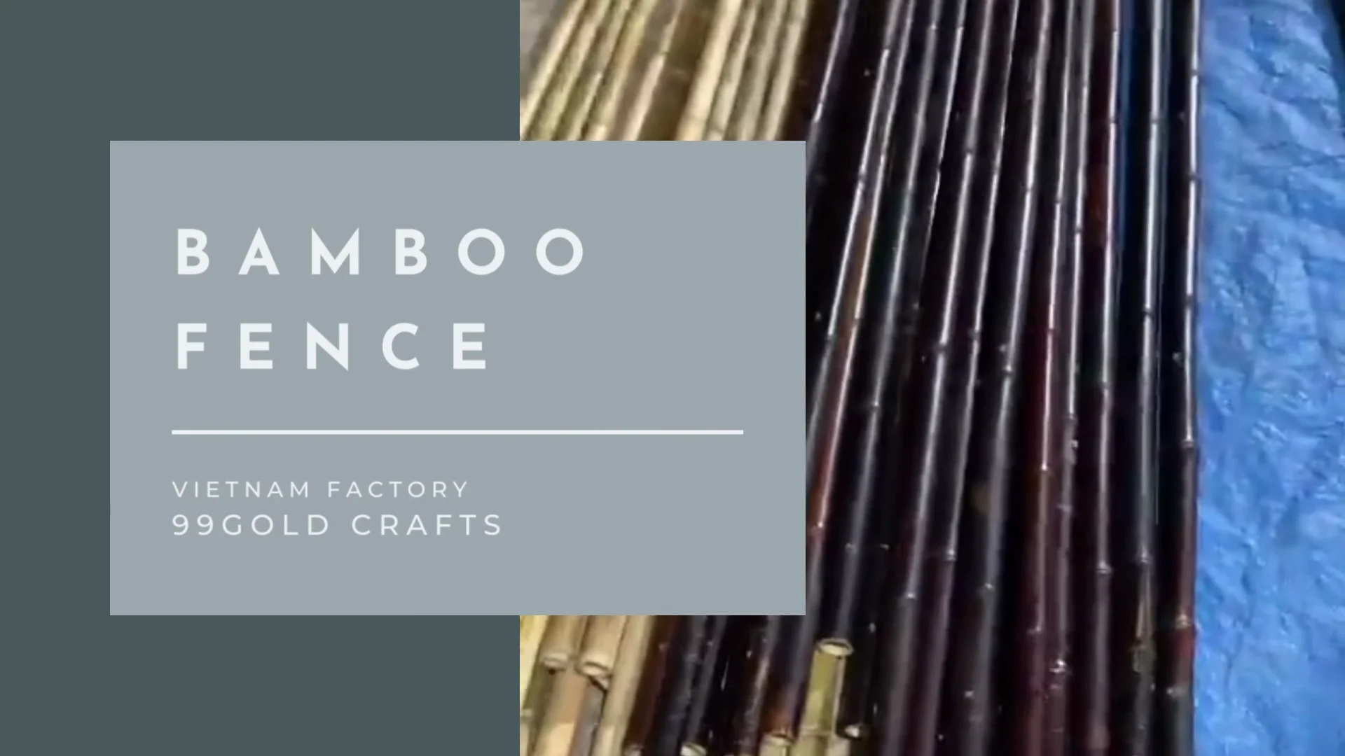 Wholesale Hot Trend Bamboo Fence Rolls 6 Feet High For Bamboo Fencing ...