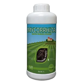 Mycorrhizae Vesicular Arbuscular Fungi Endo Glomus Intradices Species ...
