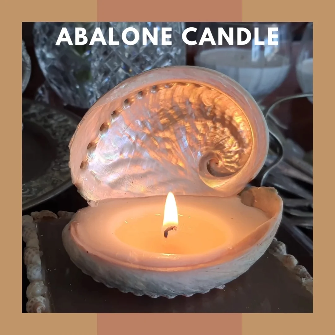 Natural Empty Shell Container Seashells For Candle Making Scented Or ...