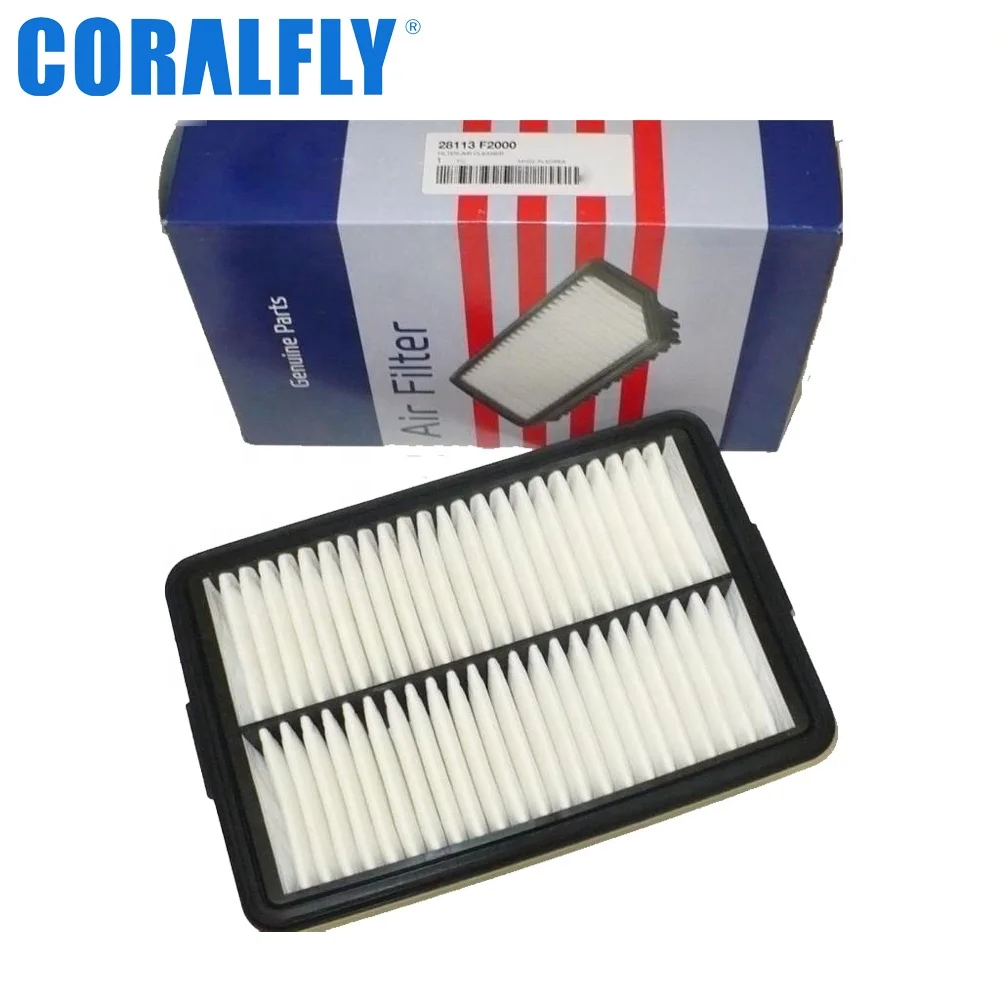 Auto Car Hepa Air Filter 28113f2000 28113-f2000 For Hyundai Kia Filters ...