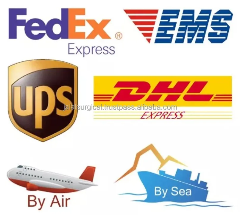 18-piece Basic Surgical Minor Surgery Instrument Set Essential Tools ...