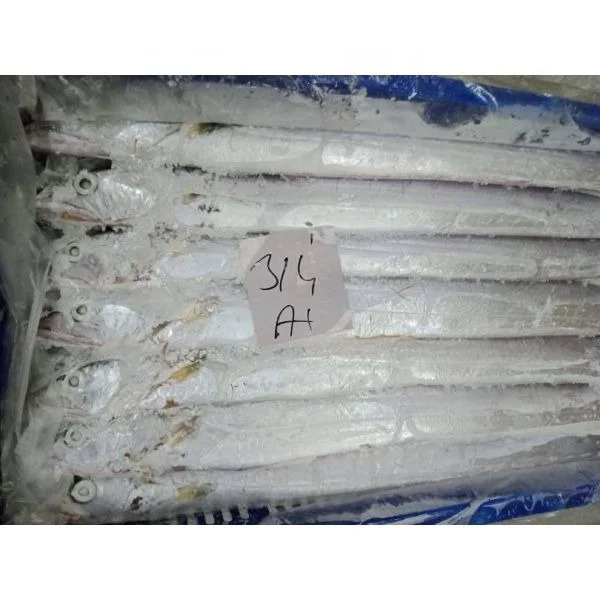 Smooth Skin Ribbon Fish Stock Available To Export - Buy Hairtail ...